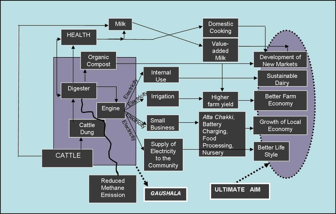 Satellite Centre in a Gaushala!